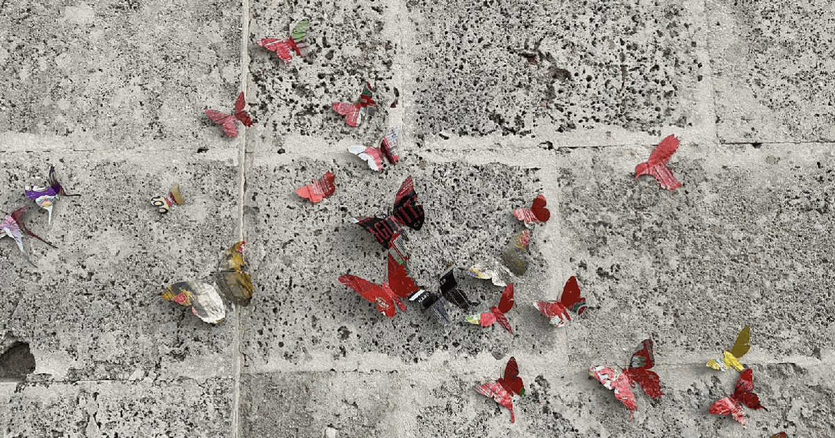 Paul Villinski creates 1,000 aluminum can butterflies for Havana ...
